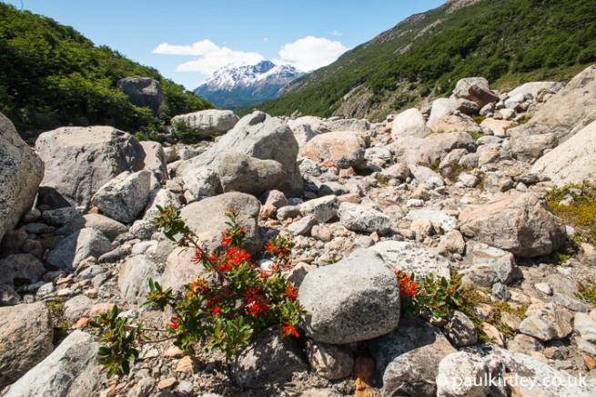 Laguna de los Tres & Rio Blanco Circuit: Hiking An Iconic Landscape