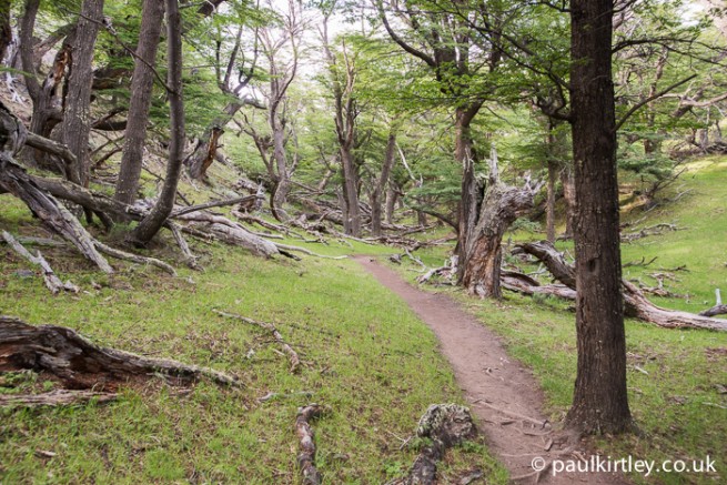 Laguna de los Tres & Rio Blanco Circuit: Hiking An Iconic Landscape