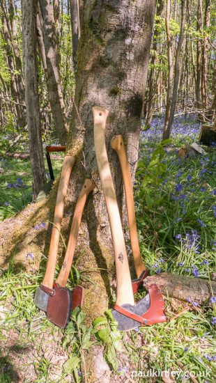 Axe Safety In Camp: Care, Attention And Good Habits