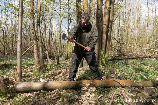 Limbing And Sectioning Trees With An Axe
