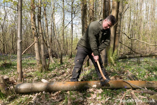 Limbing And Sectioning Trees With An Axe