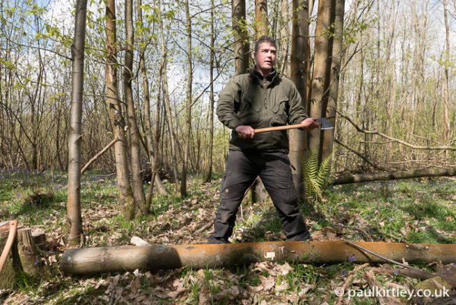 Limbing And Sectioning Trees With An Axe