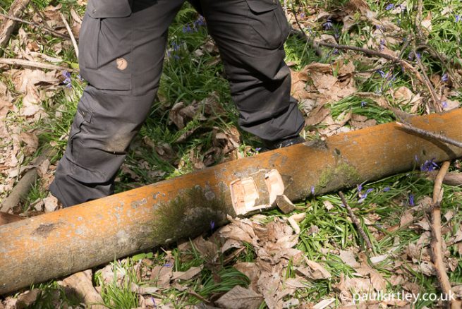 Limbing And Sectioning Trees With An Axe