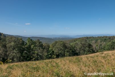Wild Wanderings 11 - Strangers In A Strange Land