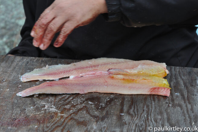 How To Fillet A Pike (And Remove All The Y-Bones)